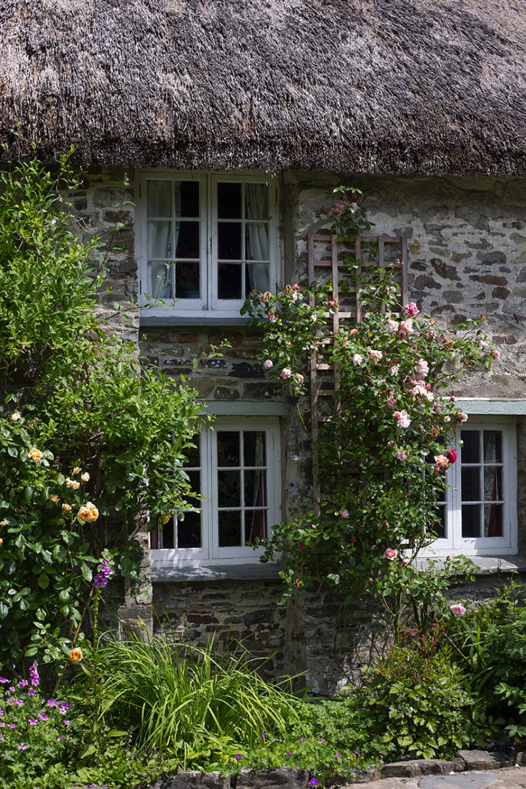 Reviews - Philham Water Cottage Self-Catering Holiday Cottage Hartland ...