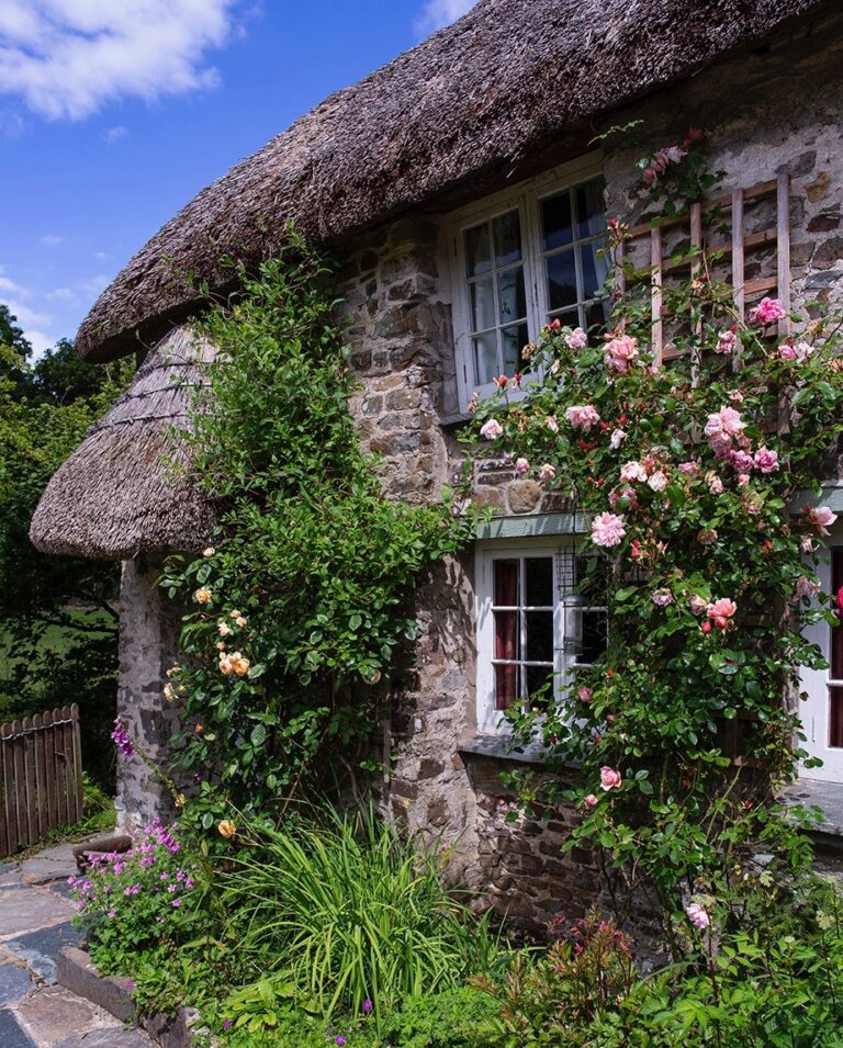 Reviews - Philham Water Cottage Self-Catering Holiday Cottage Hartland ...